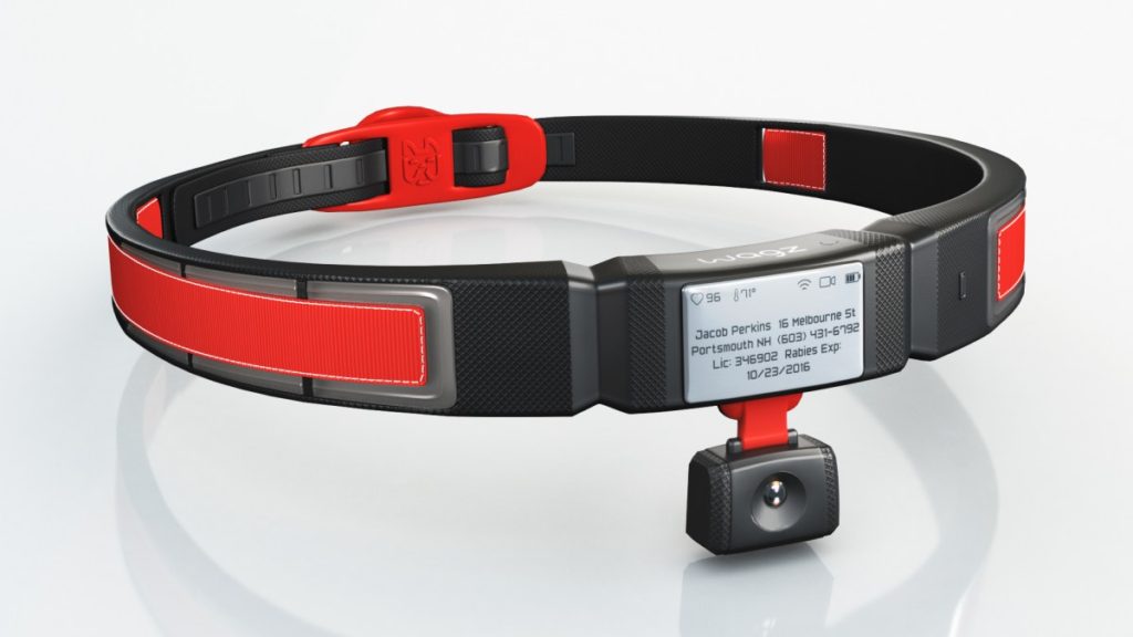 Introducing the Wagz Smart Collar: The First All-in-One Dog Collar ...