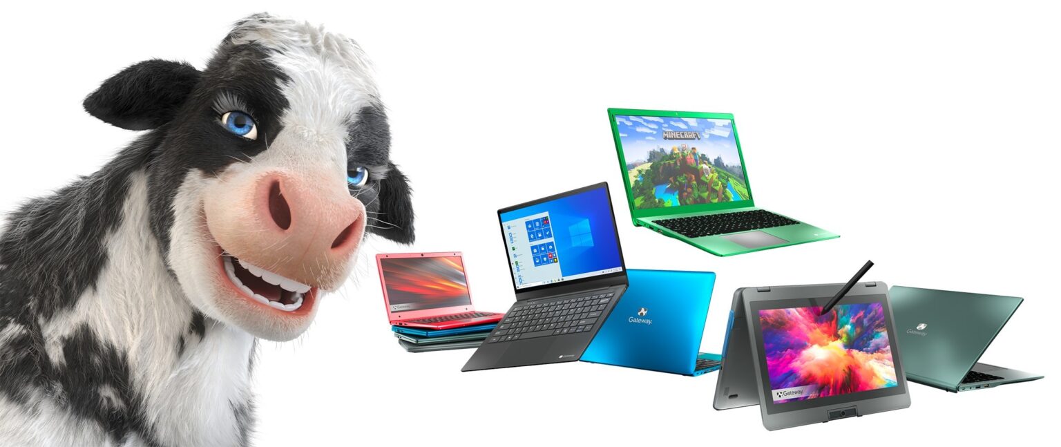Moo-ving onto the Scene is the New Gateway Cow and She Has News ...