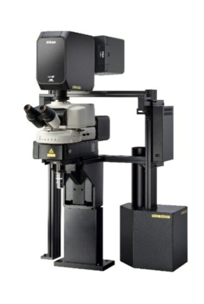Nikon introduces the AX R MP with NSPARC Super-resolution Multiphoton ...
