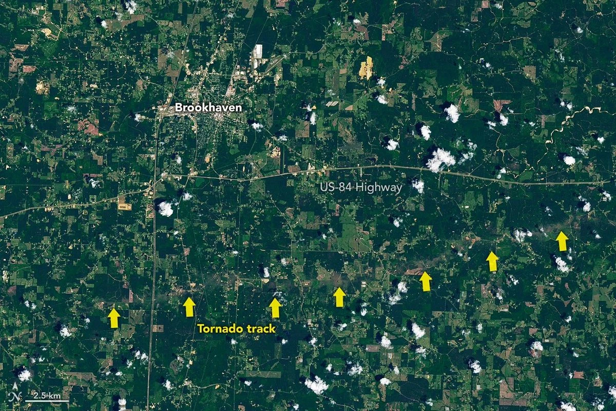 Tornado Draws a Jagged Line in Mississippi - Cerebral-Overload